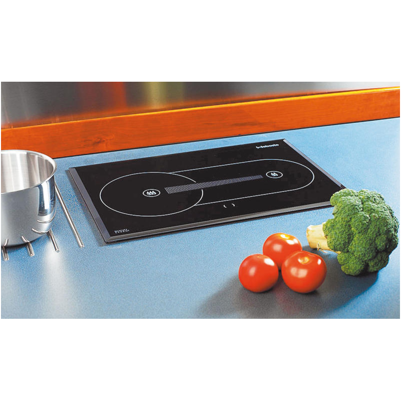 WEBASTO Cooker X100 plaque de cuisson vitrocéramique diesel fourgon.