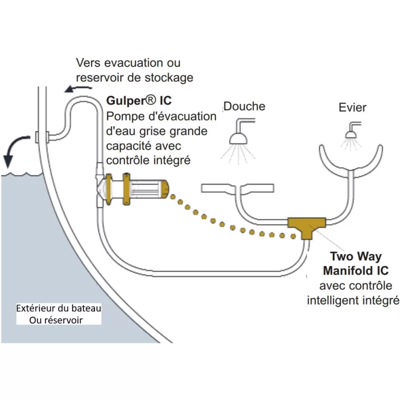 Pompe d’évacuation pour douche et eau chargé du bateau WHALE Gulper IC.