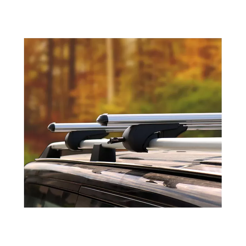 Barre de toit Ford Transit 5 OMAC - Accessoire de transports en van - H2R Equipements