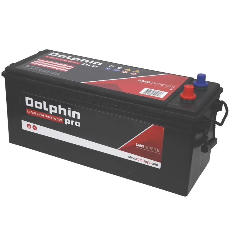 DOLPHIN Pro batterie de démarrage bateau 140 Ah 800 A stockage en ...